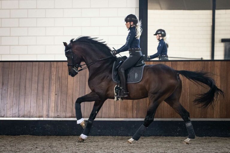 Startseite - CARUBINA